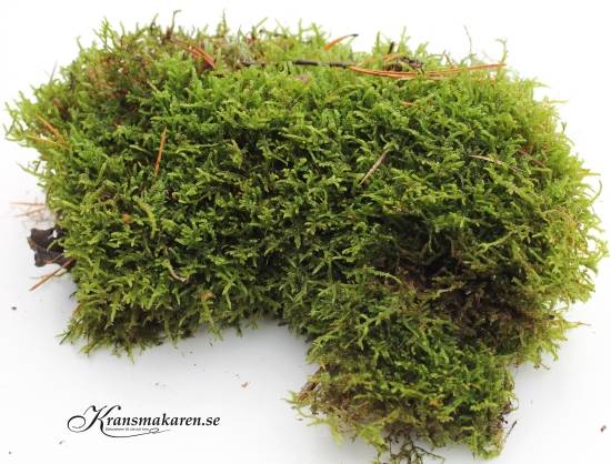 Grön mossa | Naturprodukter | Kransmakaren.se